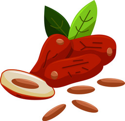 Realistic rosary beads dates fruit ramadan Vector Image