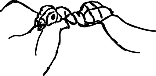 Ant Doodle Vector Images (over 850)