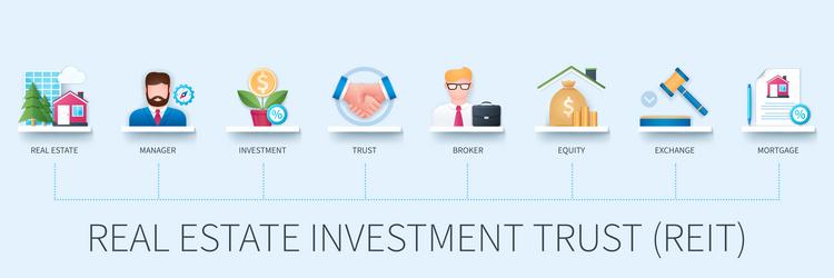 Real estate investment trust reit infographics Vector Image