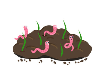 Earthworms in garden soil air and water passage Vector Image