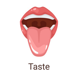 One of five senses - smell Royalty Free Vector Image