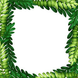 Natural leaf border scene Royalty Free Vector Image