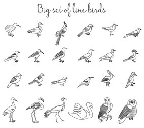 Small Birds Outline Vector Images (over 2,100)
