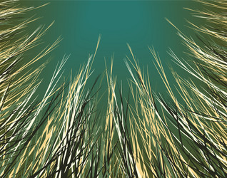 Dry Grass Vector Images (over 4,400)