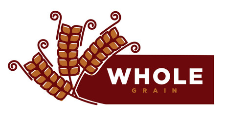 Whole grain logo wheat spikelet product emblem Vector Image