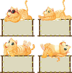 Blank sign template with cute cat on white Vector Image