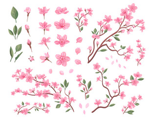 Sakura Vector Images (over 32,000)