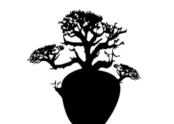 Boab or baobab tree isolated andasonia Royalty Free Vector