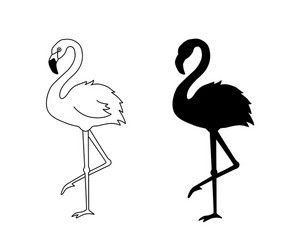 Flamingo Outline Drawing Vector Images (over 670)