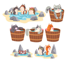 Hot spring objects icons set Royalty Free Vector Image