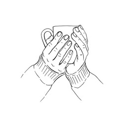 Hand drawn sketch of hands holding a cup Vector Image
