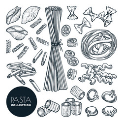Penne Pasta Drawing Vector Images (over 890)