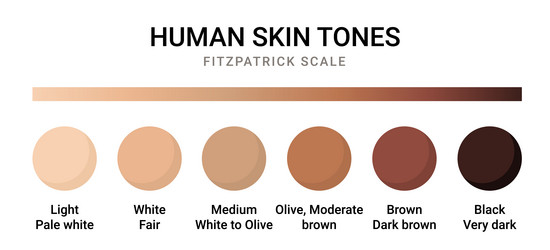 Skin tone color scale chart brown palette Vector Image