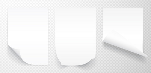 Jagged piece of paper white rectangle shape Vector Image