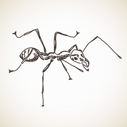 Ant Doodle Vector Images (over 850)