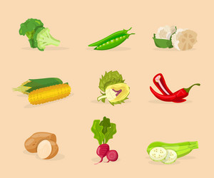 Different vegetables color flat Royalty Free Vector Image