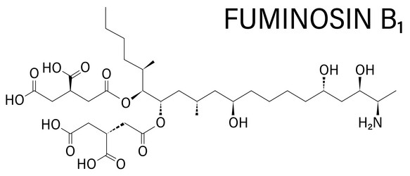 Mycotoxin Vector Images (59)