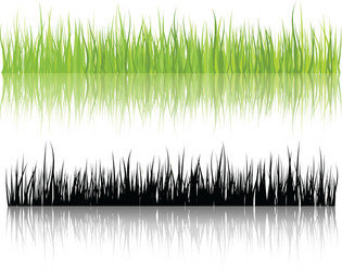 Grass Vector Images (over 340,000)