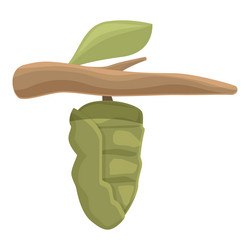 Cocoon Vector Images (over 1,100)