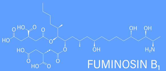 Mycotoxin Vector Images (59)