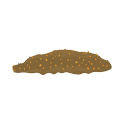 Isostichopus fuscus - brown sea cucumber on sand Vector Image