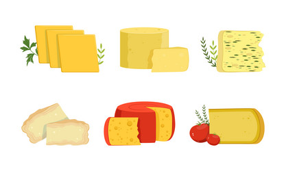 Different cheese chunk as dairy product Royalty Free Vector