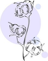 Line Drawing of Cotton Plant Vector Images (over 390)