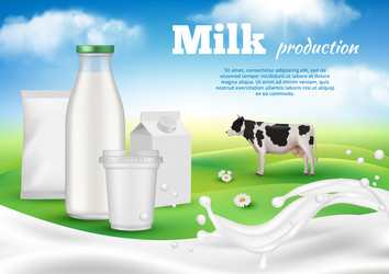 Milk dairy products infographic layout poster Vector Image
