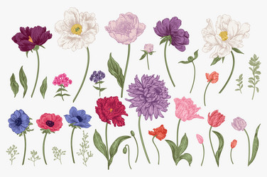 Set with spring flowers Royalty Free Vector Image