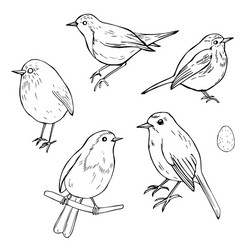 Robin bird line icon logo Royalty Free Vector Image