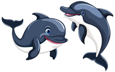 Smiling dolphin cartoon Royalty Free Vector Image