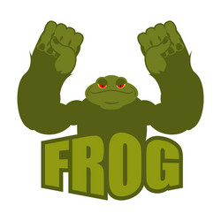 Strong frog powerful toad with large muscles Vector Image