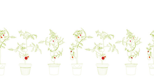 Border Tomato Seamless Vector Images (over 130)