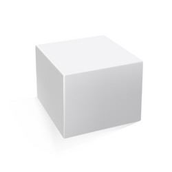 3d white cube isolated on white baground Vector Image