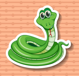 Snake Flashcards Vector Images (56)