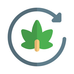 Crushing the cannabis marijuana leaves on mortal Vector Image