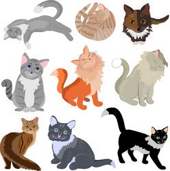 Multi-colored cats with bows Royalty Free Vector Image