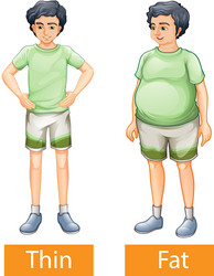 Opposite adjectives words with thin and fat Vector Image