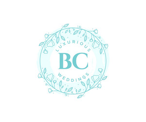 Bc initials letter wedding monogram logos Vector Image