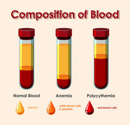 Diagram showing composition blood Royalty Free Vector Image