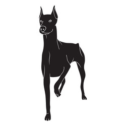 Doberman Outline Vector Images (over 530)