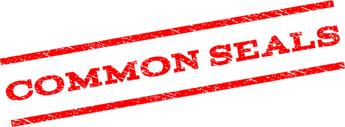 Common watermark stamp Royalty Free Vector Image