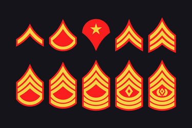 Military ranks stripes and chevrons set army Vector Image