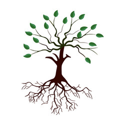 Fruit Tree With Roots Clipart