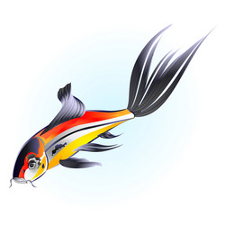 Fish white koi carp two polygons Royalty Free Vector Image