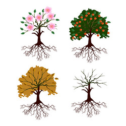 Fruit Tree Life Cycle Vector Images (over 190)