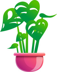 Pothos Vector Images (over 240)