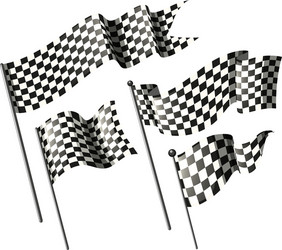 Chequered flags finish flag racing sport winner Vector Image