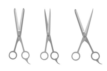 Trimming Vector Images (over 31,000)