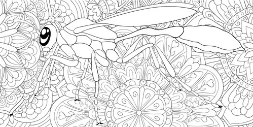 Mandala Insect Coloring Page Vector Images (over 140)